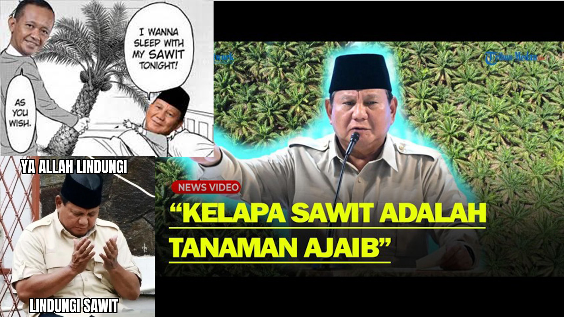 Meme Muka Jokowi dan Sawit Prabowo: Ketika Kelas Penguasa Menjadi Bahan ...